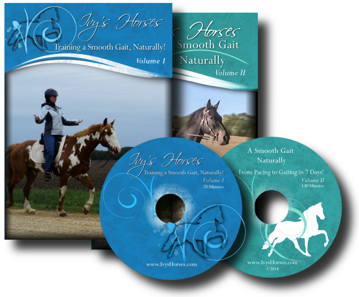 two disc set – Ivy's Glide Gait